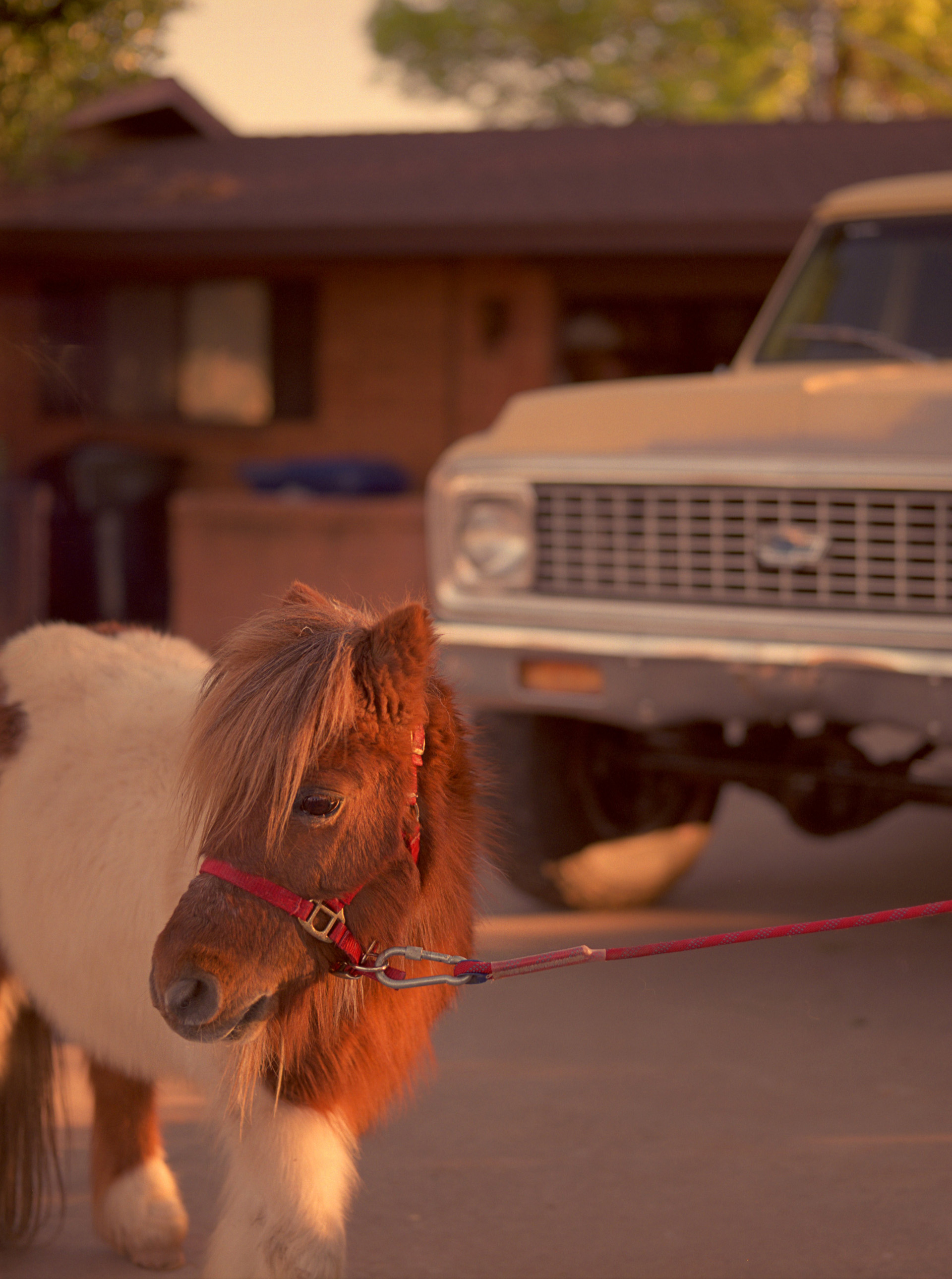 First, tell us a little about yourself. What is your background, how ...